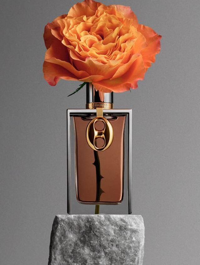 Paco Rabanne – scentelixir